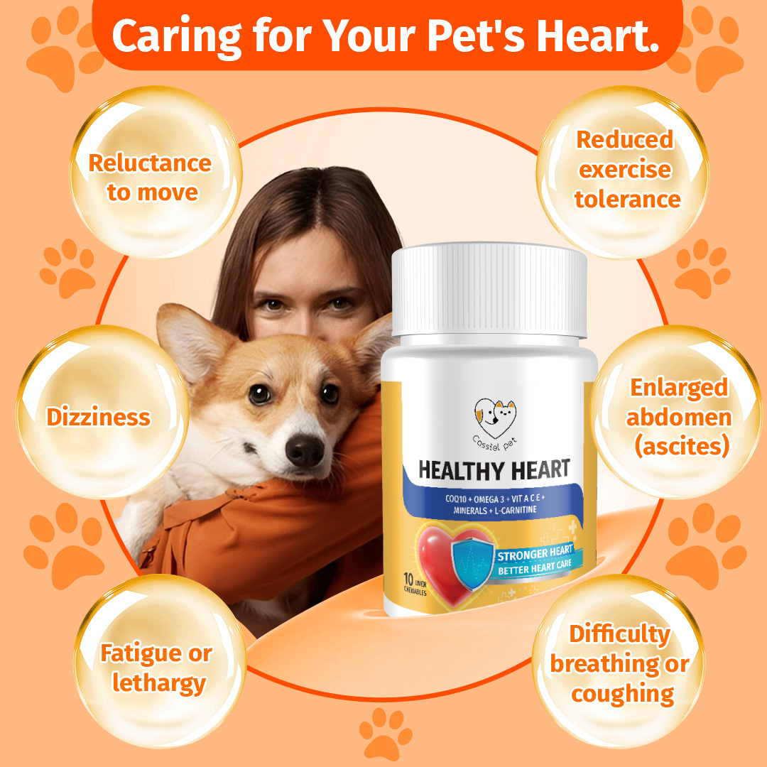 Cassiel Pet Pimobendan Heart Chewable Tablet Treatment For Difhcult ...