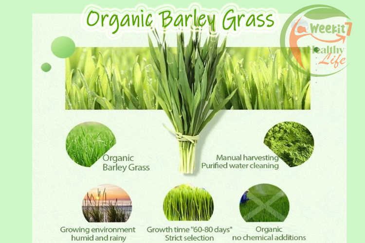 Weekit7 Barley Grass 4 Packs Digestive Health,Weight Loss,Detox,Organic ...