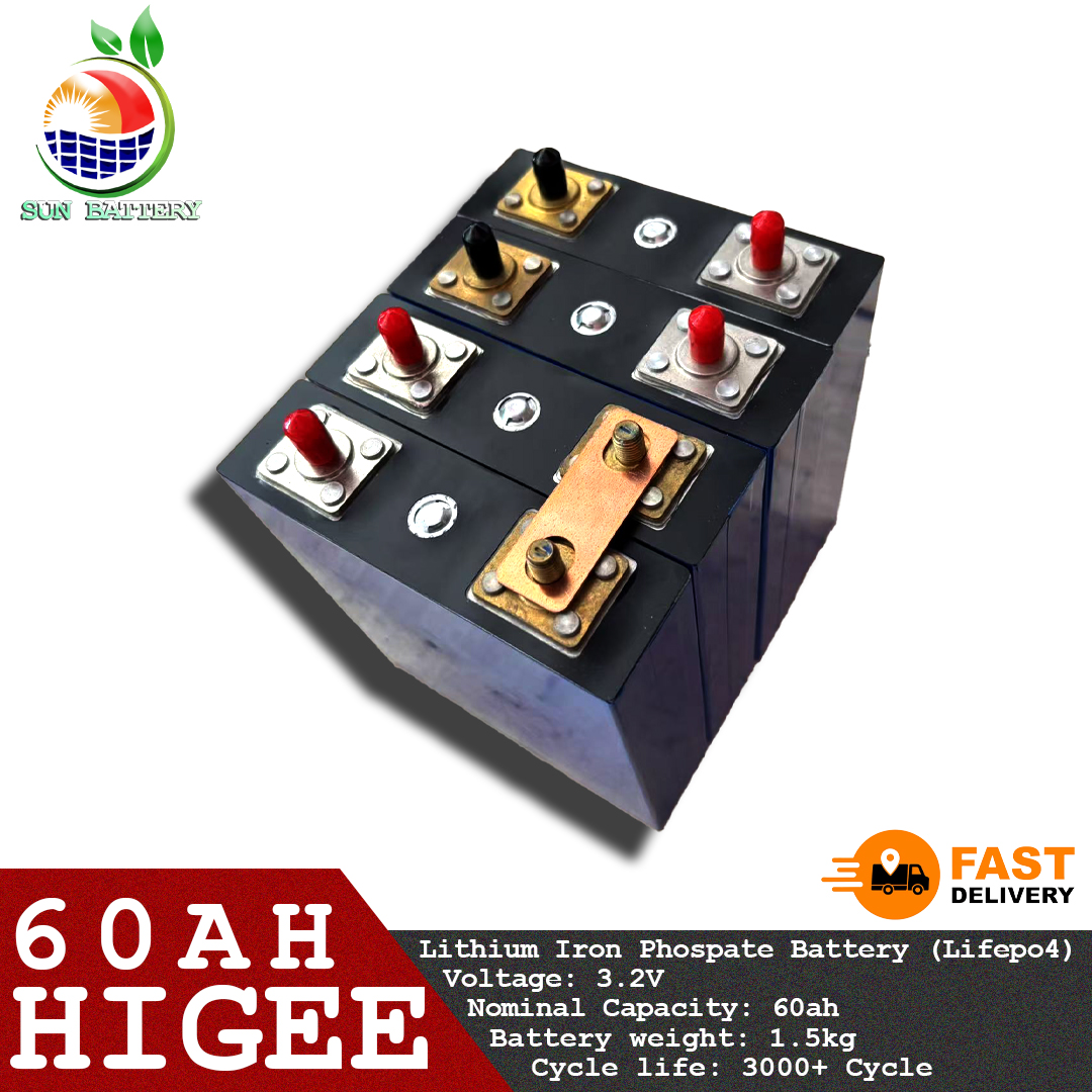 HIGEE 60AH Lifepo4 Battery - 3.2V Rechargeable Battery with Freebies ...