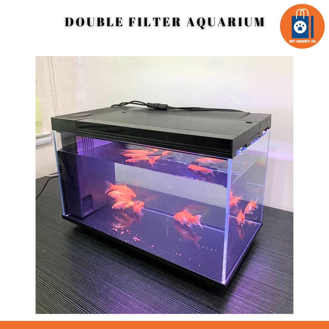 Ultra Clear Glass Double Filter System Aquarium Tank with LED 20L Model ...