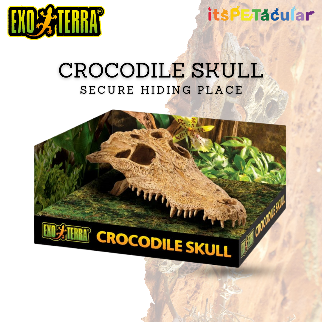 EXO TERRA Crocodile Skull (Reptile Cave) Reptile Hide | Shopee Philippines