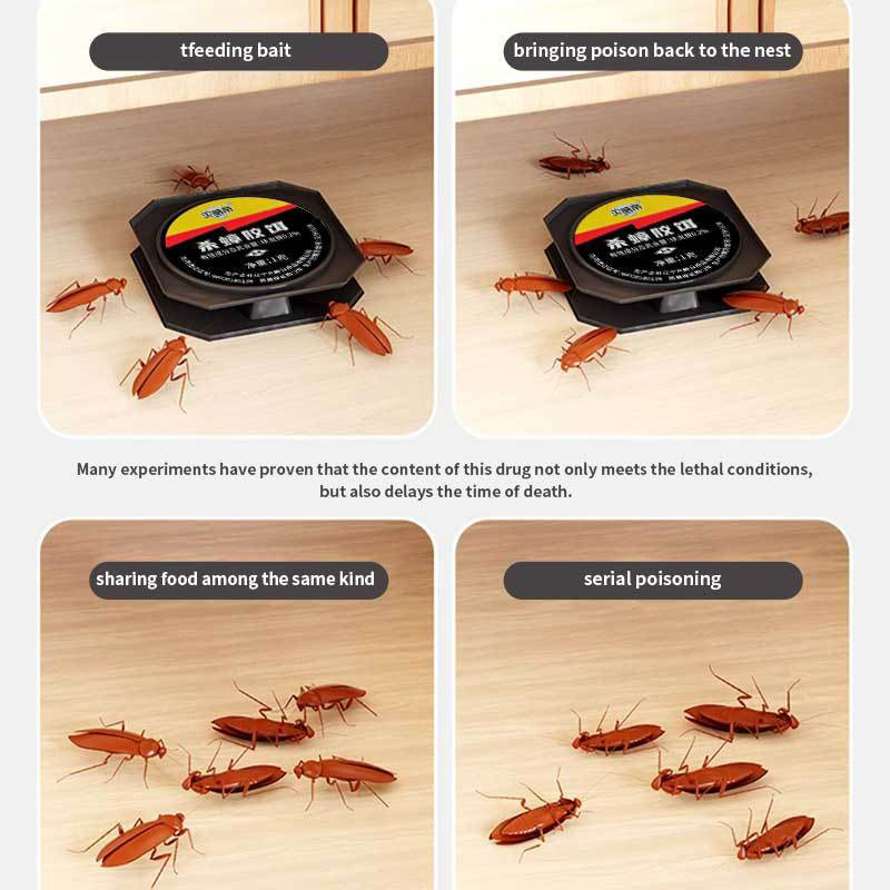 Cockroach medicine 100% kills cockroach bait Cockroach powder Cockroach ...