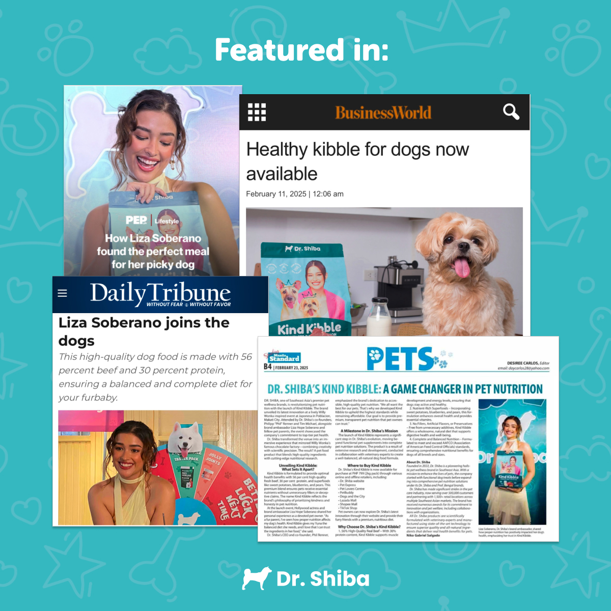 Dr. Shiba's Kind Kibble - High Protein Adult Dog Food - No Salt, Real Beef - Complete Nutrition ...