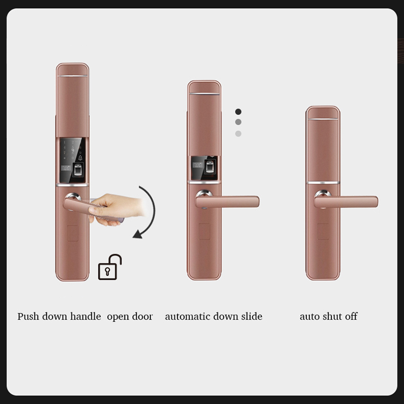 Smart Lock Fingerprint/IC card/Passcode Electronic Biometric Code ...