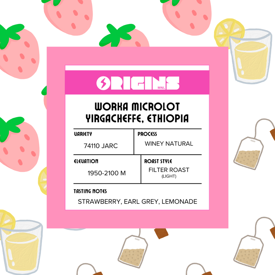 Ethiopia Specialty Coffees, Single Origin, Single Farm (Whole Beans ...