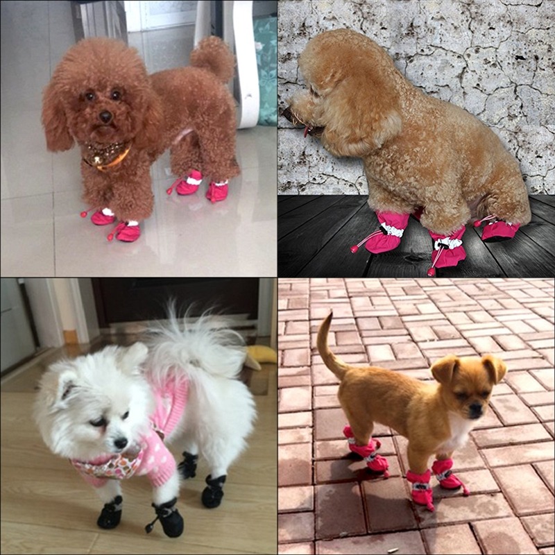 4pcs Pet Dog Shoes Care Waterproof Shoes Anti Slip Shoes To Protect Pet ...
