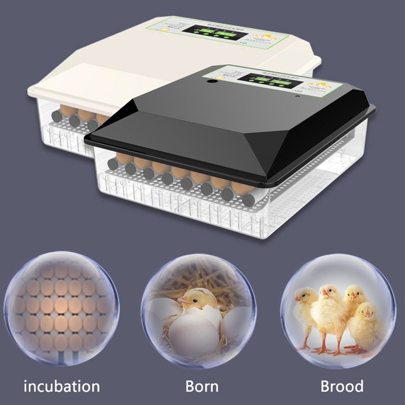 Upgraded 56/128 Fully Digital Automatic Egg Incubator 220V/12V Constant ...