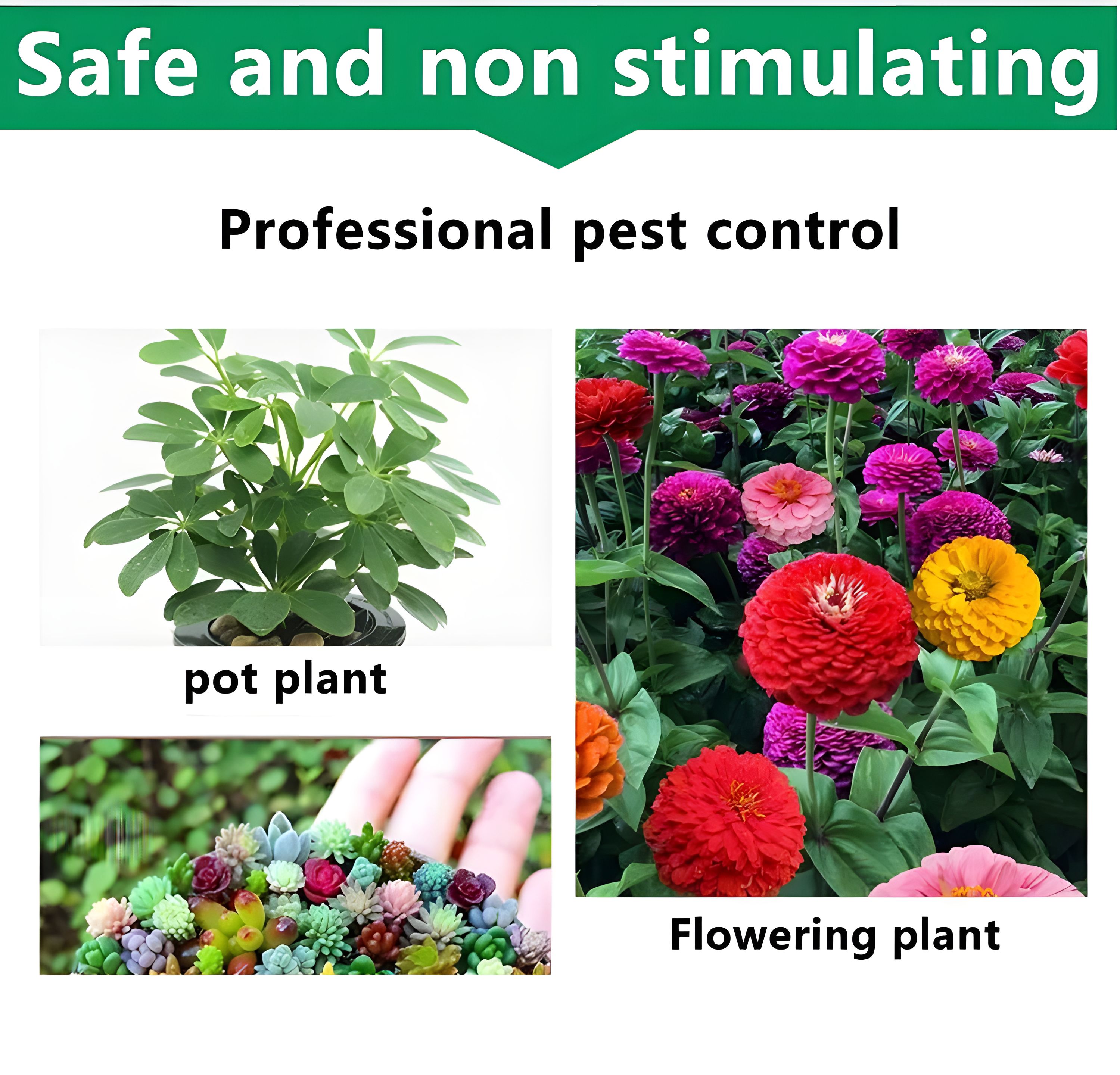 500ml Plant Flower Insecticide Spray Vegetable Organic Insecticide ...