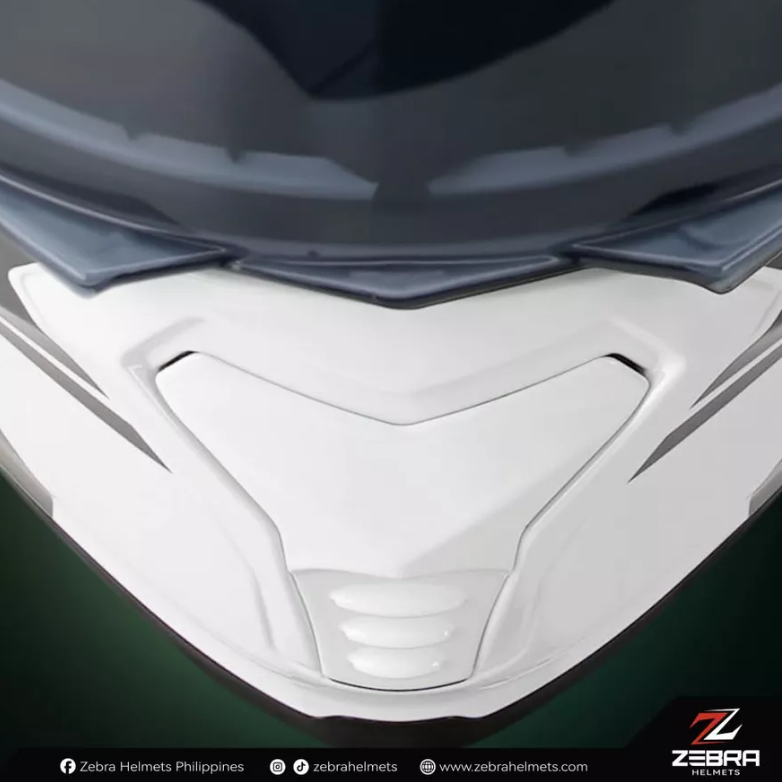 ZEBRA A113 RITZY Helmet Full Face Modular Dual Visor Helmet for ...