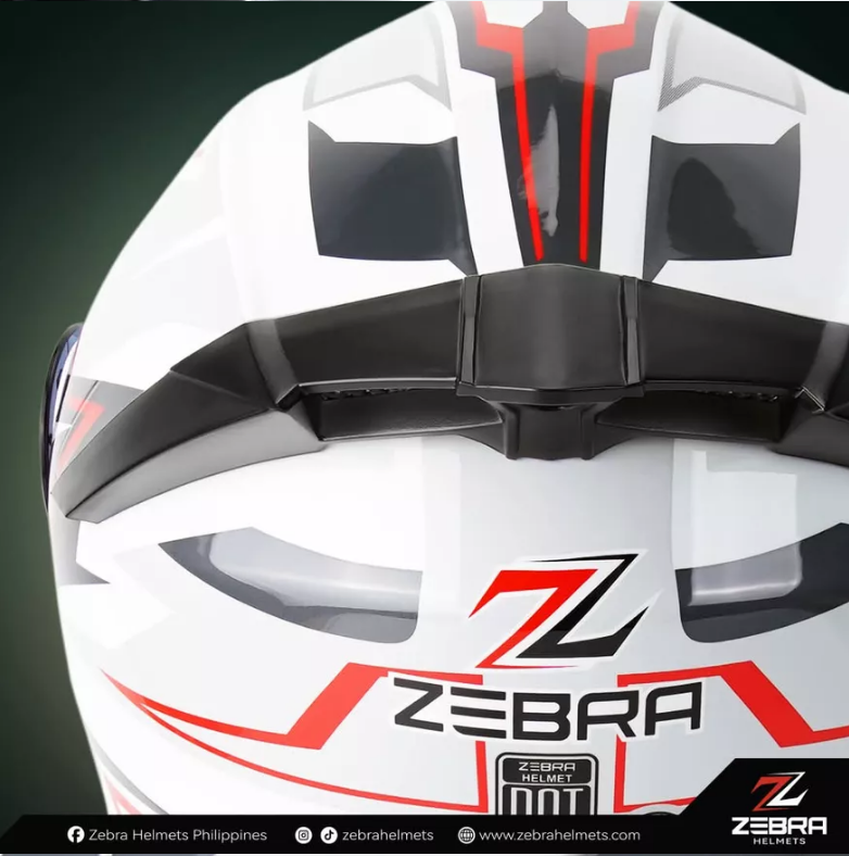 ZEBRA A113 RITZY Helmet Full Face Modular Dual Visor Helmet for ...