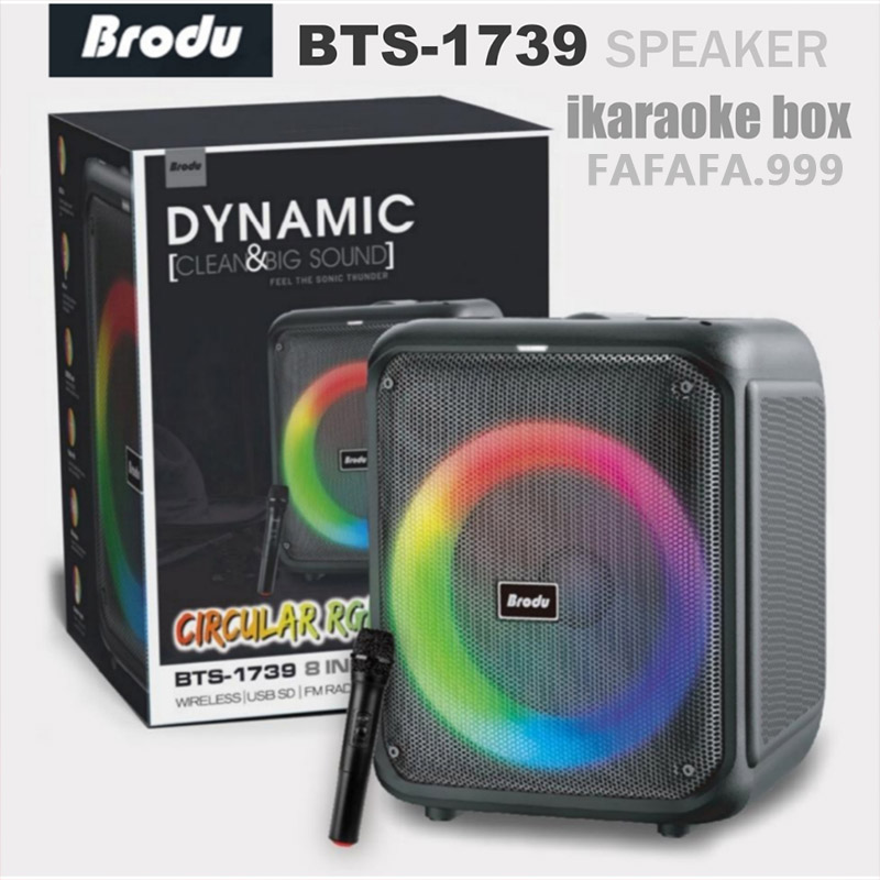 BTS-1740 Bluetooth karaoke speaker with Free wireless Microphone ...
