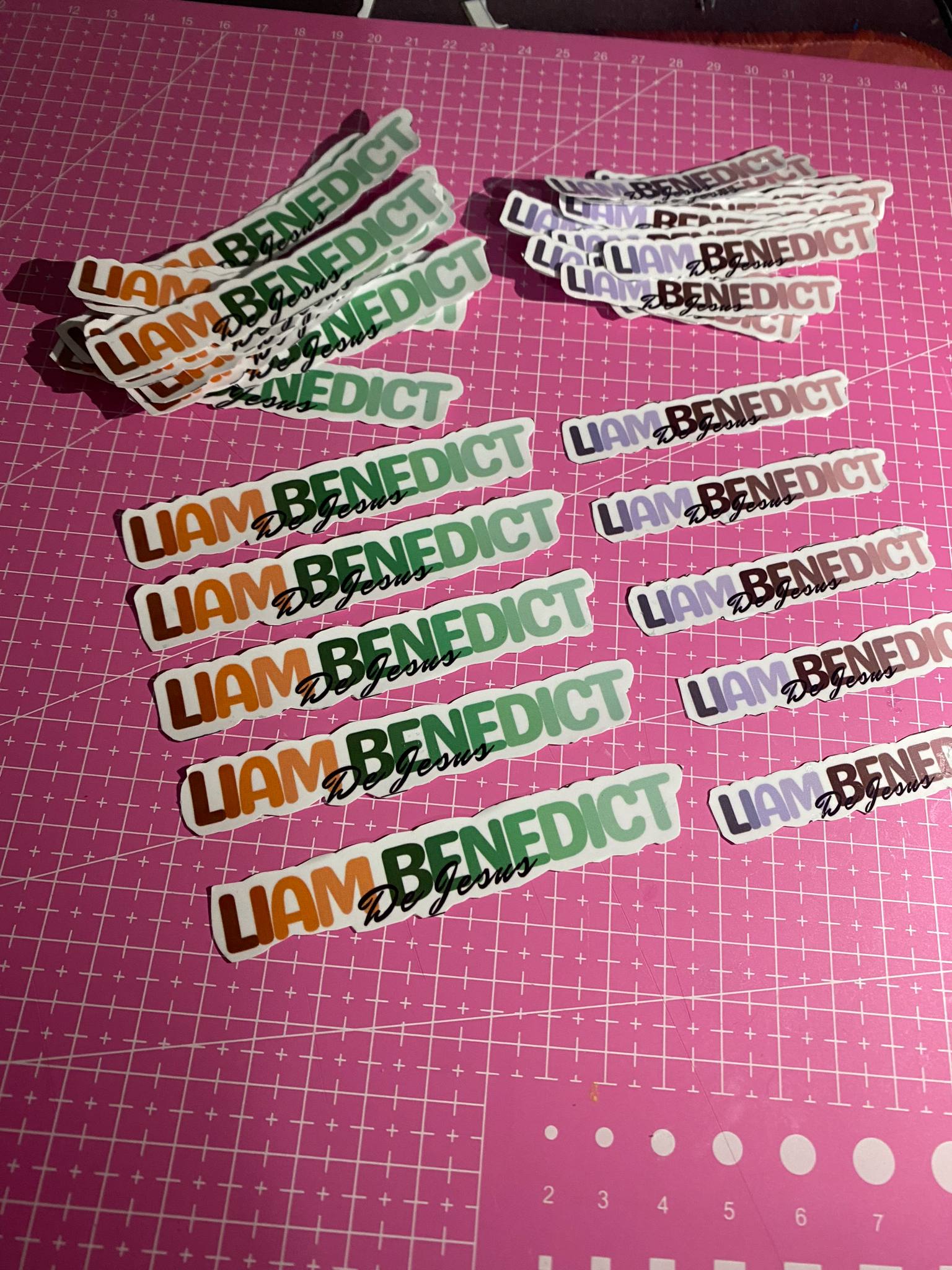Name Stickers Name Labels for Books and Notebooks 20 pcs Cold Laminated ...
