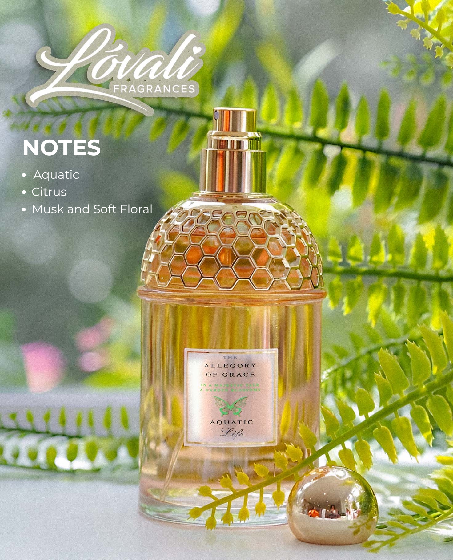 LOVALI | THE ALLEGORY OF GRACE COLLECTION PERFUMES FOR WOMEN EAU DE ...