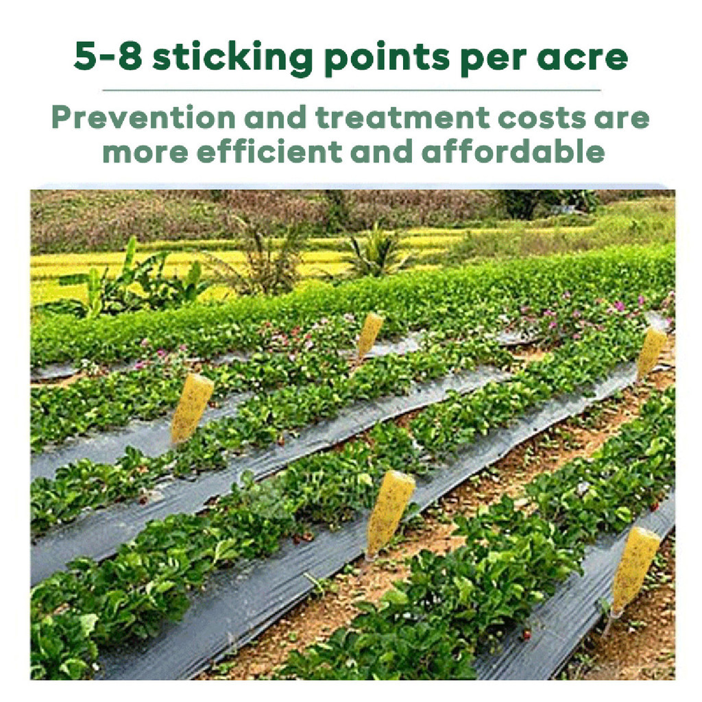 Fruit fly trap Attractant spray 450ML Supernet insect trap Rain-proof ...