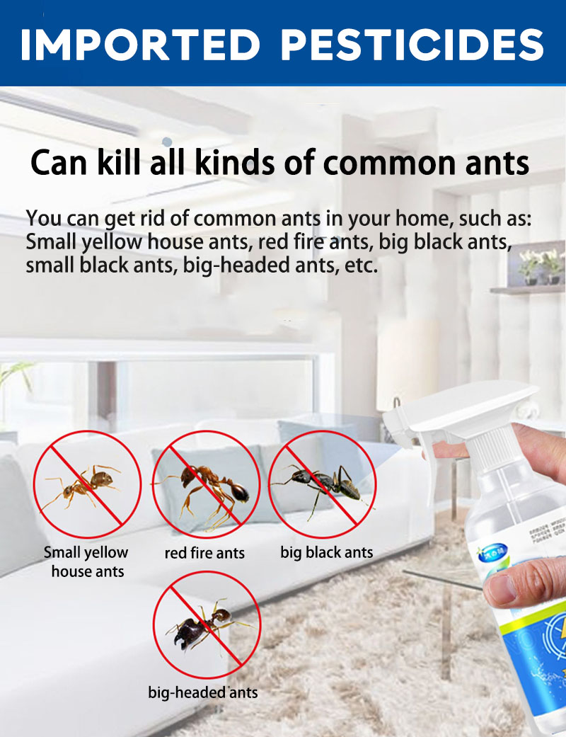 Organic Ant Spray Killer 500ML Ant Repellent For Home Ant Killer Spray ...