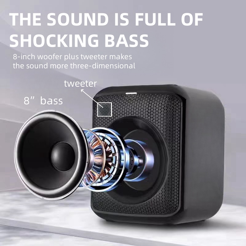 Brodu BTS-1740 Bluetooth Speaker Karaoke Speaker with 2 Microphones ...
