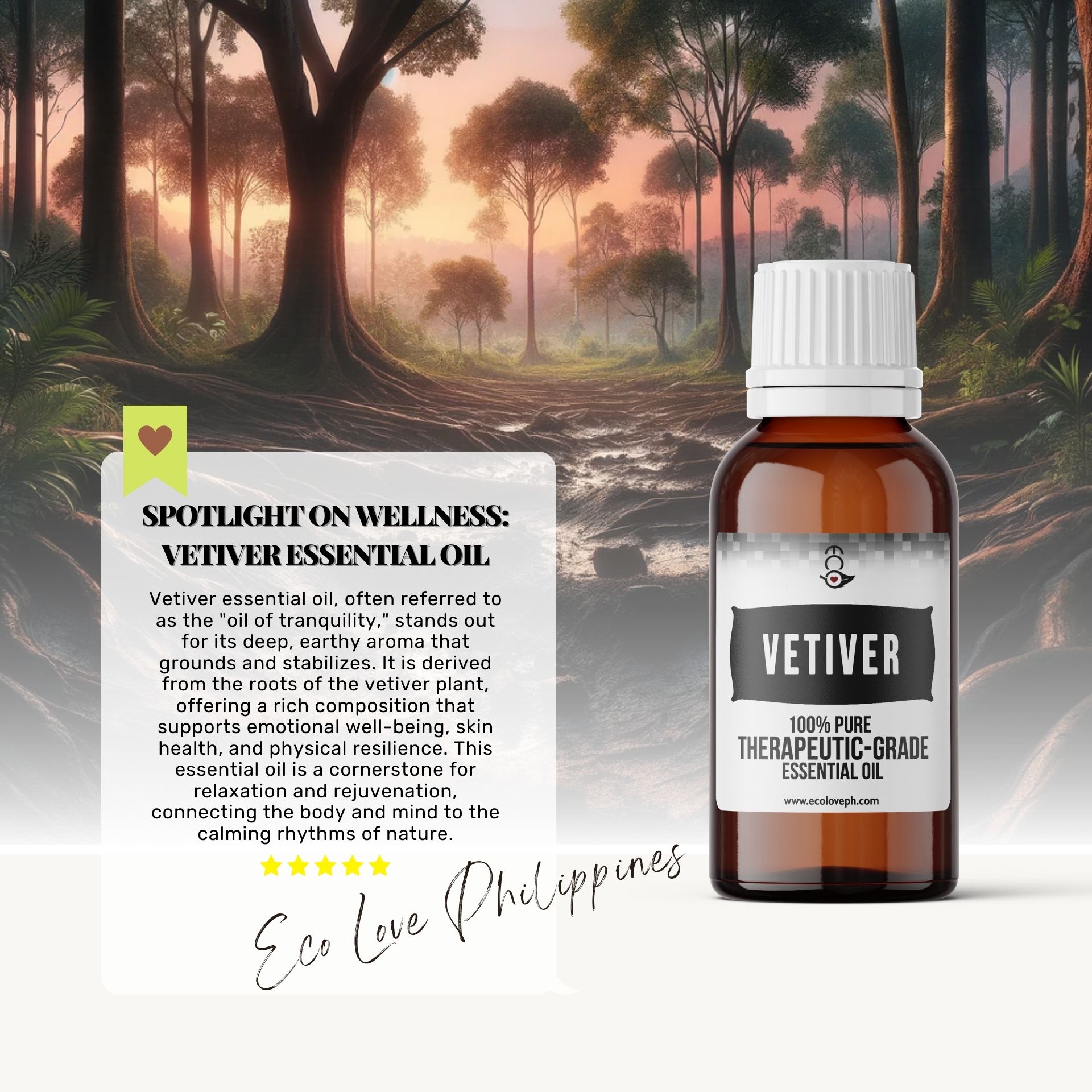 Beauty Bee Philippines Vetiver Essential Oil – Deep Calm, Grounding ...