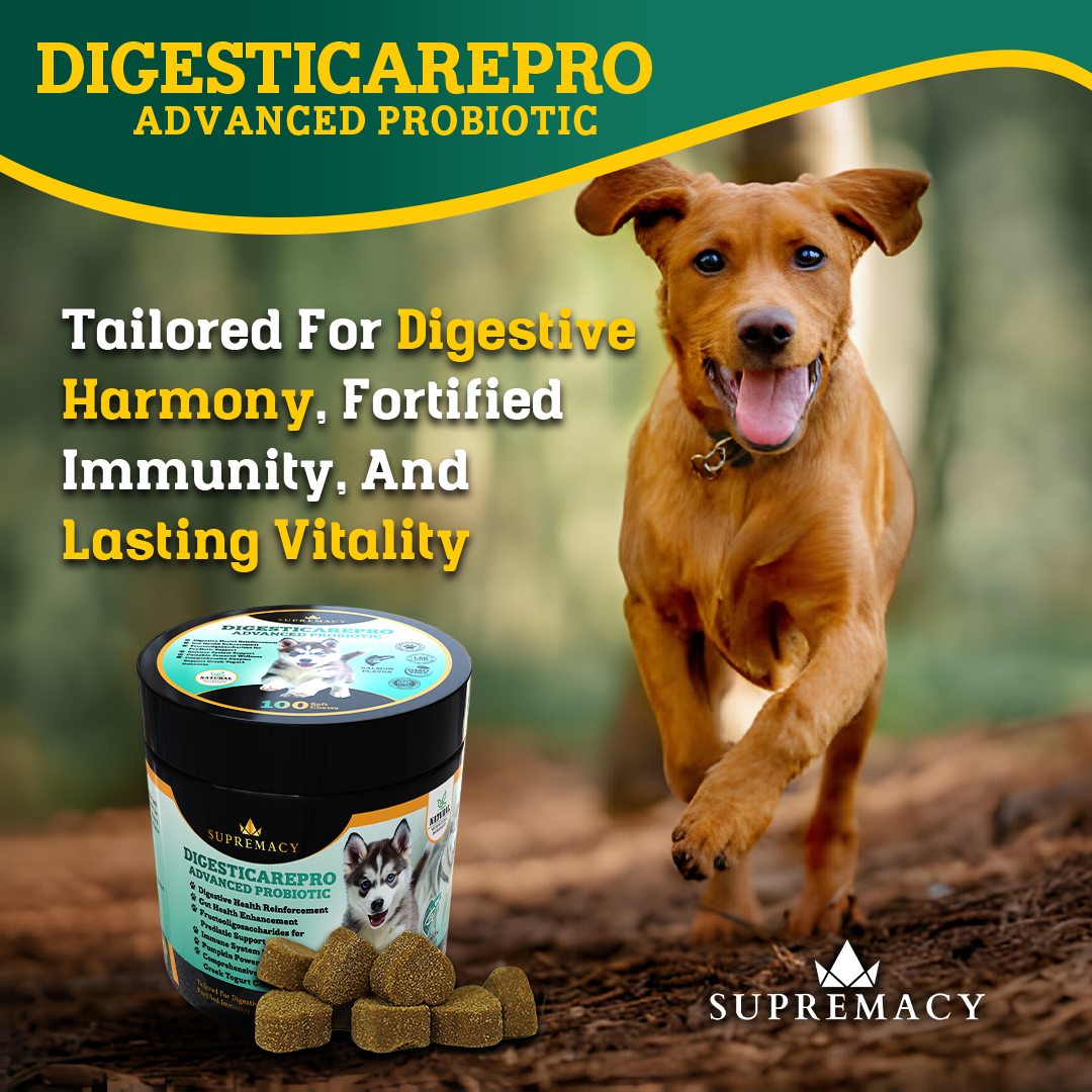 Supremacy DigestiCare Pro Probiotic Treats For Dogs Gut Health & Immune ...