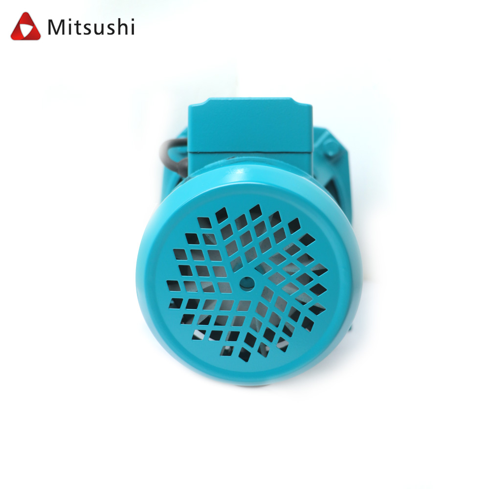 Mitsushi 450W Electric Water Pump Vortex Pump Booster Pump Jet Pump 1HP ...