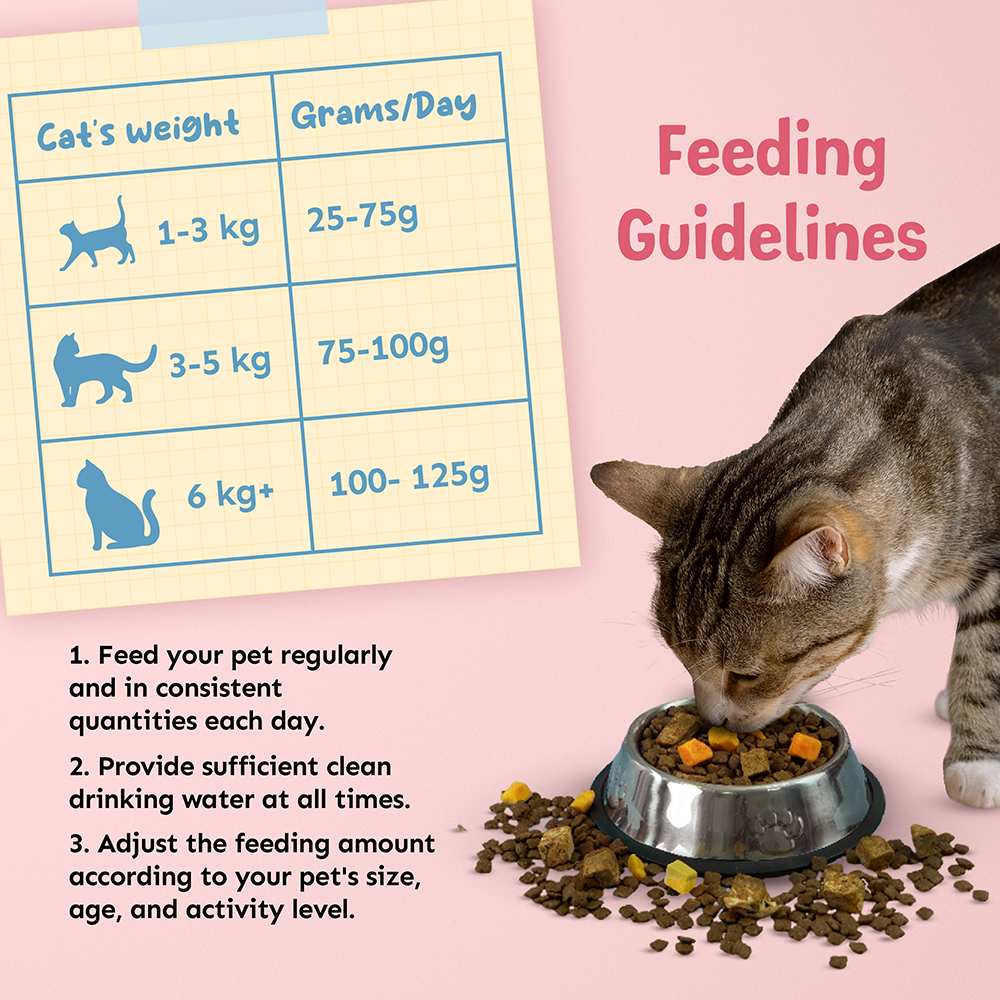 Petsup Freeze Dried Cat Food 50g - Salmon Tuna Egg Yolk Dry Food Treats ...
