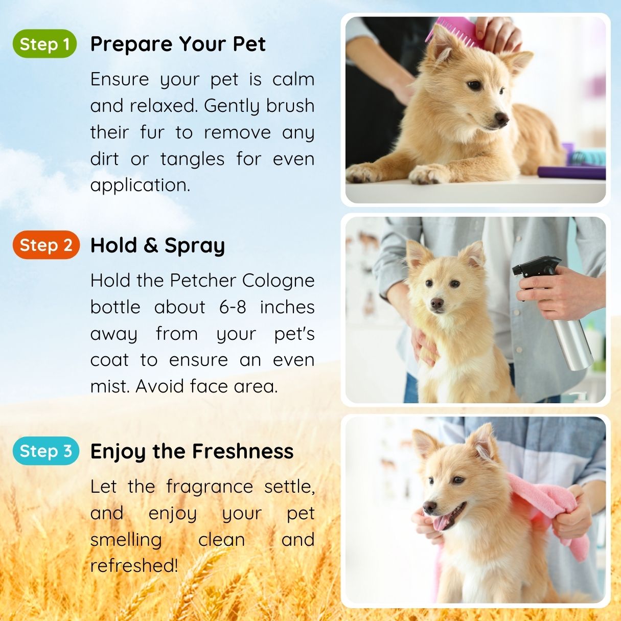 Petcher Furguard Plus Pet Spray 100ml 250ml Pet Grooming Coat Spray for ...