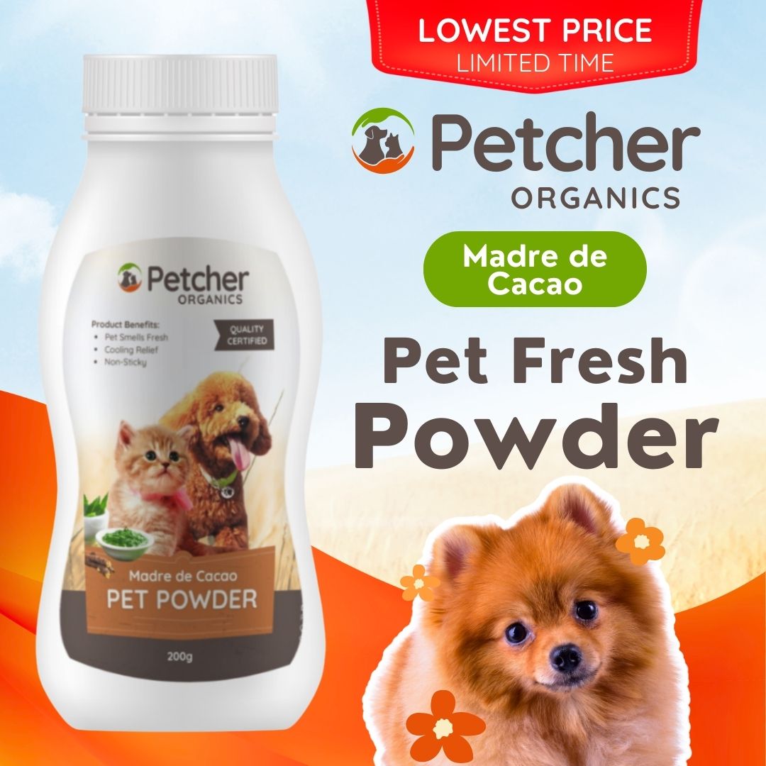 Petcher Madre de Cacao Pet Powder 50g Tick and Flea Care for Dogs and ...