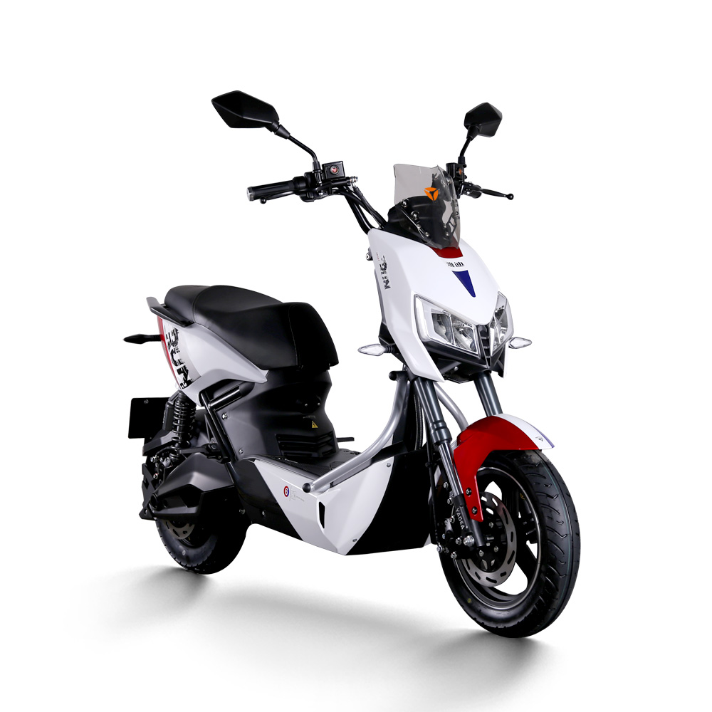 X5 Electric motorcycle Electric bikes EBike For Adult 800W 2 Wheels Max ...