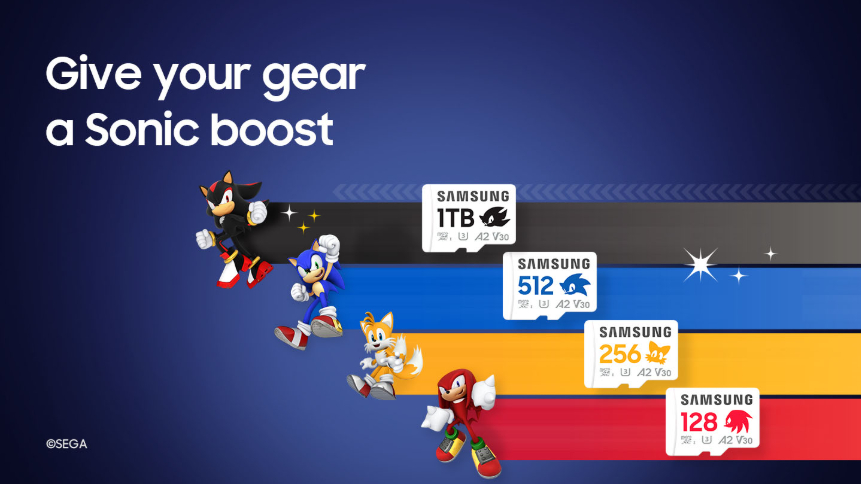 Samsung PRO Plus Sonic the Hedgehog 128GB/256GB/512GB/1TB U3, A2 ...