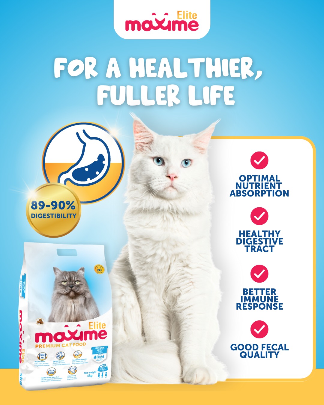 Maxime Elite Indoor 5kg Adults (Hairball Control & Urinary Care) With ...