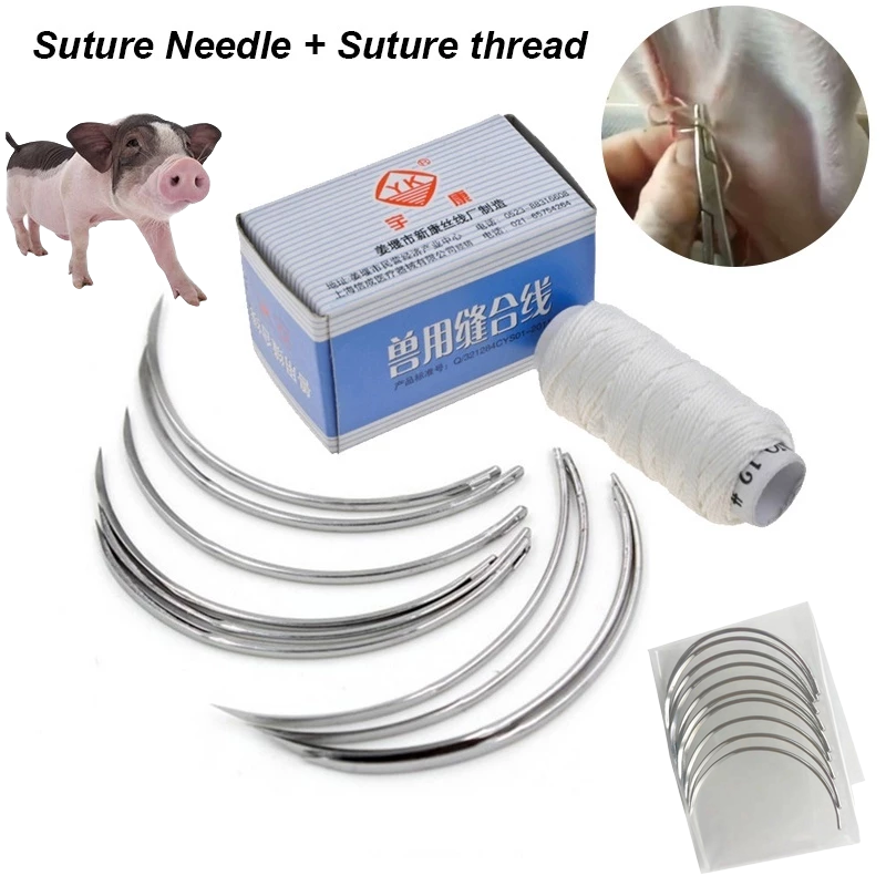 10Pcs Stainless Suture needles Veterinary Surgical Suture curve needle ...