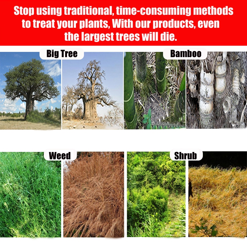 Hoba Herbicide to kill tree Hexazinone root removal Kill tree and ...