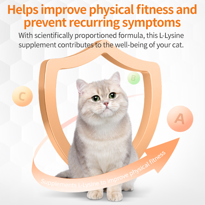 PUAINTA Lysine for Cat Cold Sneezing Runny Nose Against FVR Cats KItten ...