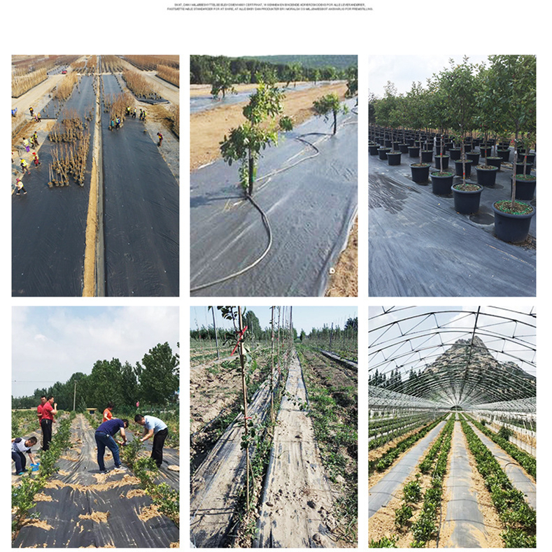 COD WEED BARRIER FABRIC HEAVY DUTY FILM ANTI GRASS FOR GARDEN 80G/M2 ...