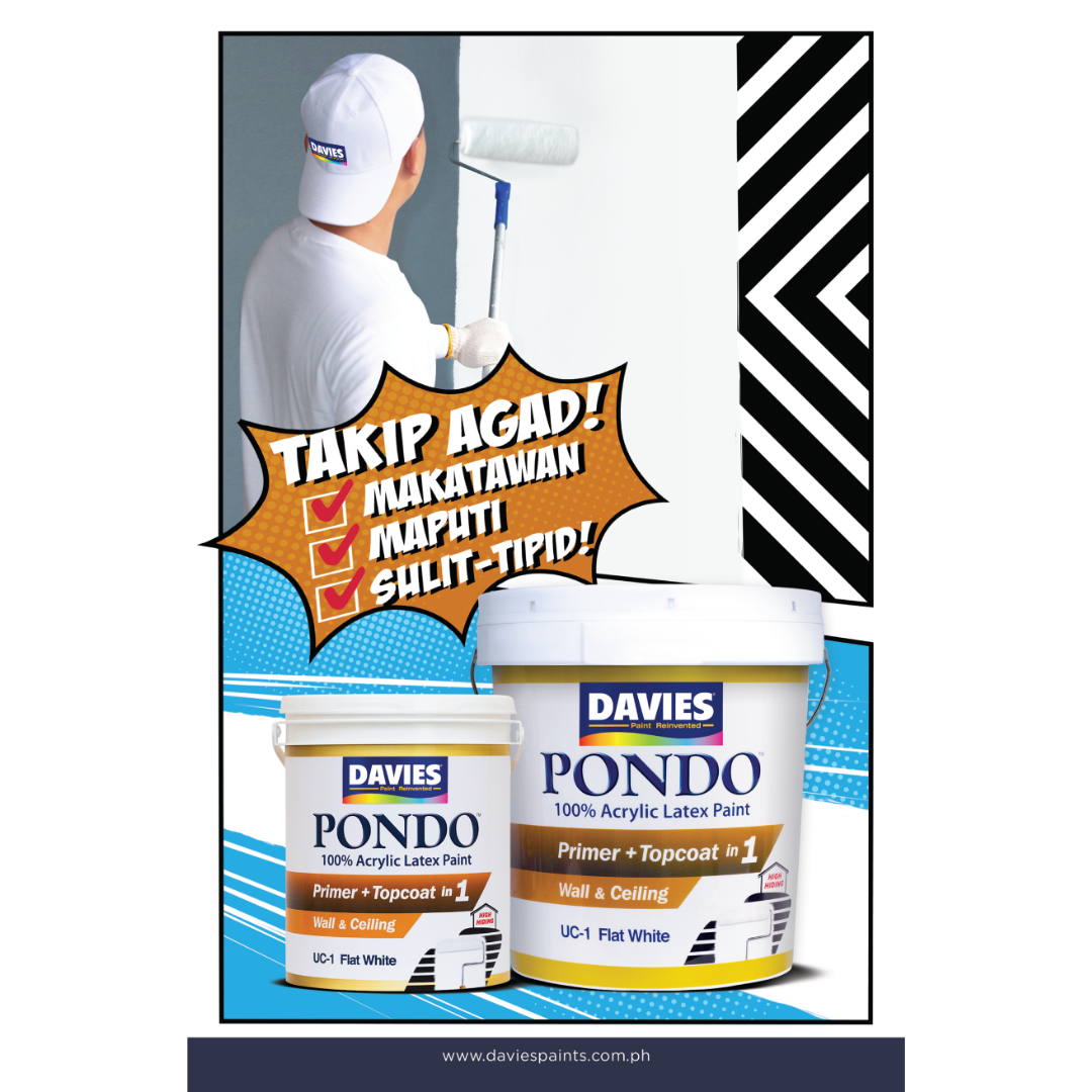Davies Pondo High Hiding Primer and Topcoat in 1 | Flat White 1L ...