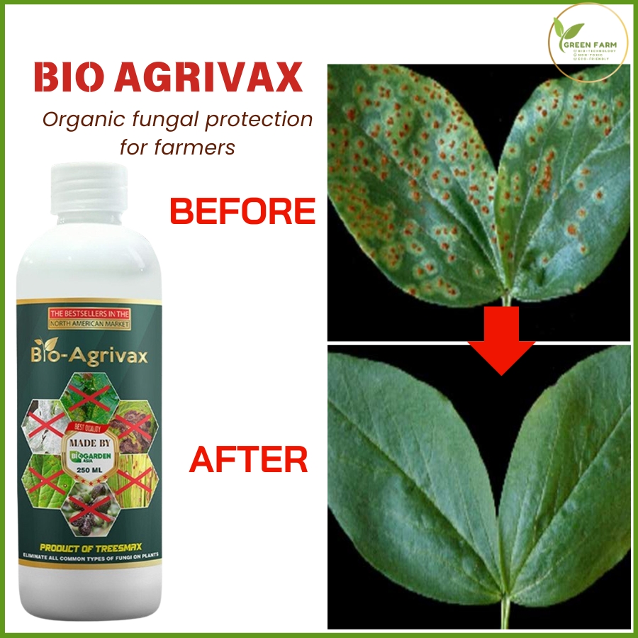 Fungicides For Plants Treat 100 Diseases, Protect Plants For 12 Months ...