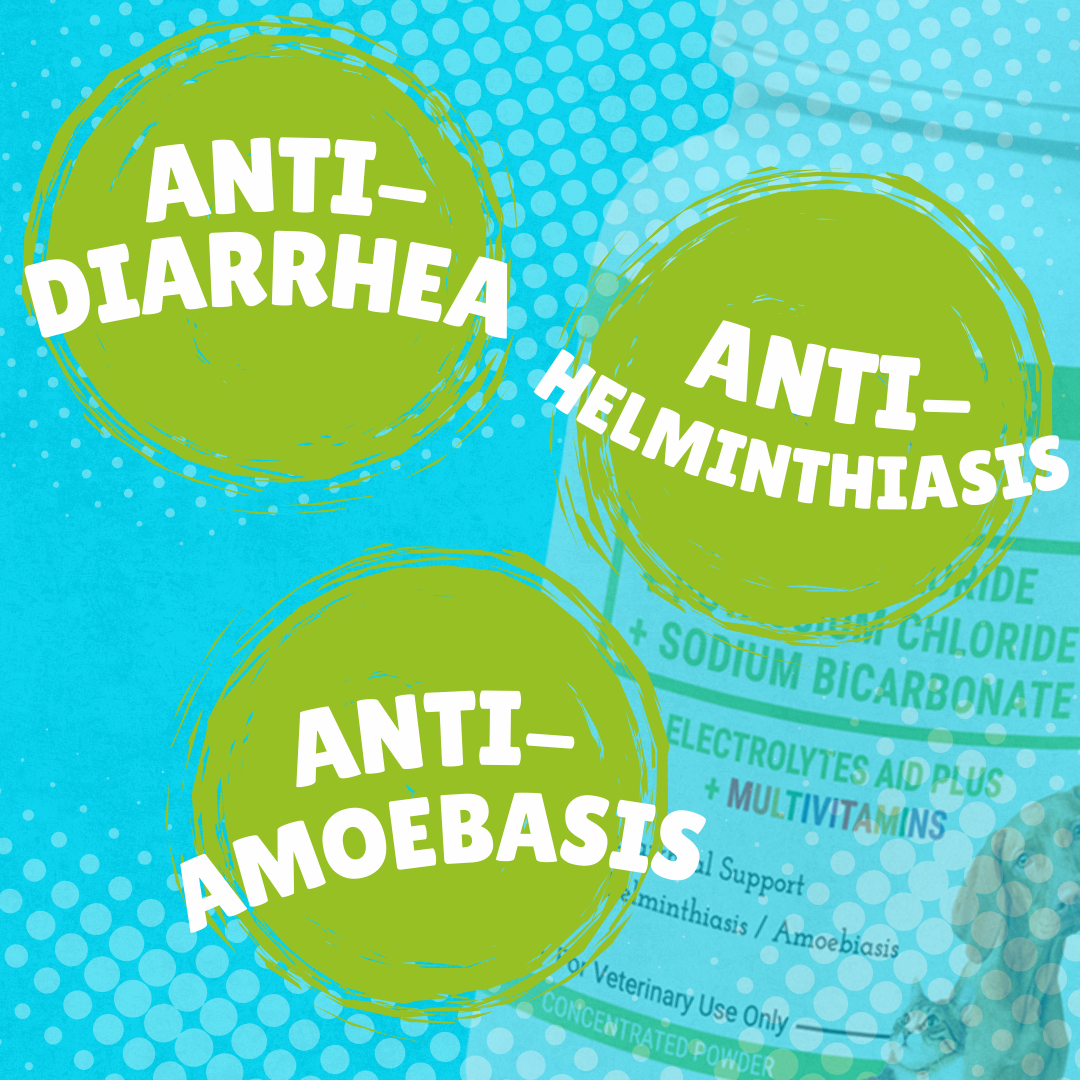 LKJ_Prolific Tails Electrolytes Aid Plus + Multivitamins Anti-diarrheal ...