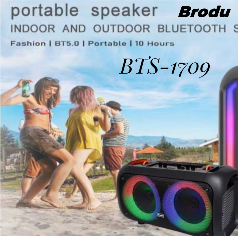 BTS-1709-1989-2255-2258-2261 Brudo Subwoofer BLUETOOTH Karaoke Speaker ...