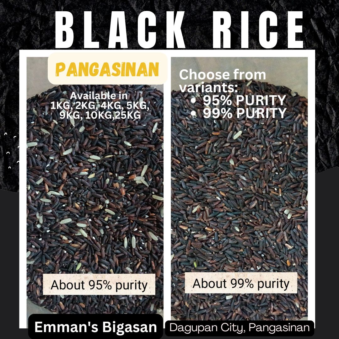 5KG Pack Black Rice [Emman's Bigasan] | Shopee Philippines