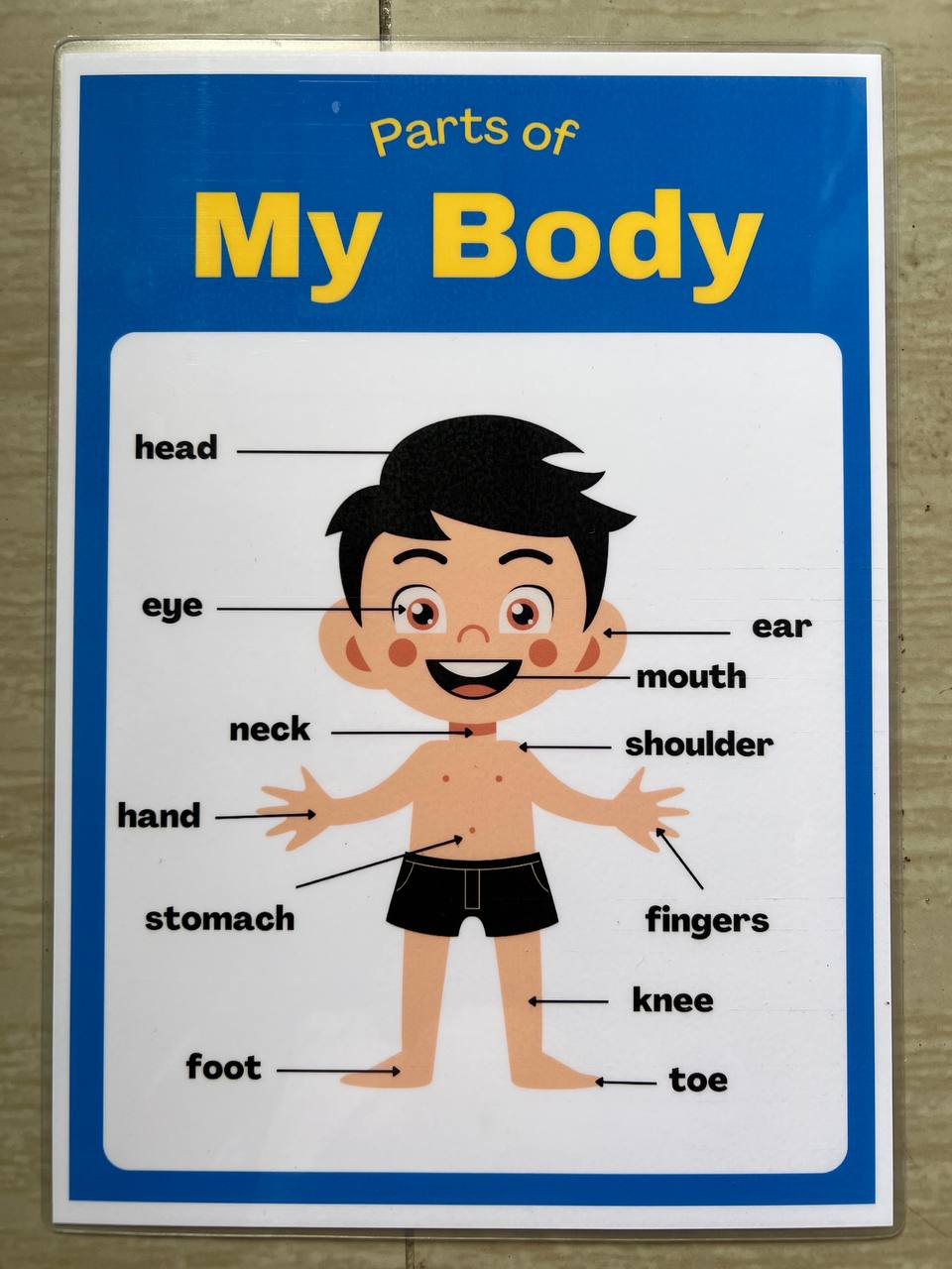 Educational learning materials for kids Laminated A4 Size Chart PARTS ...