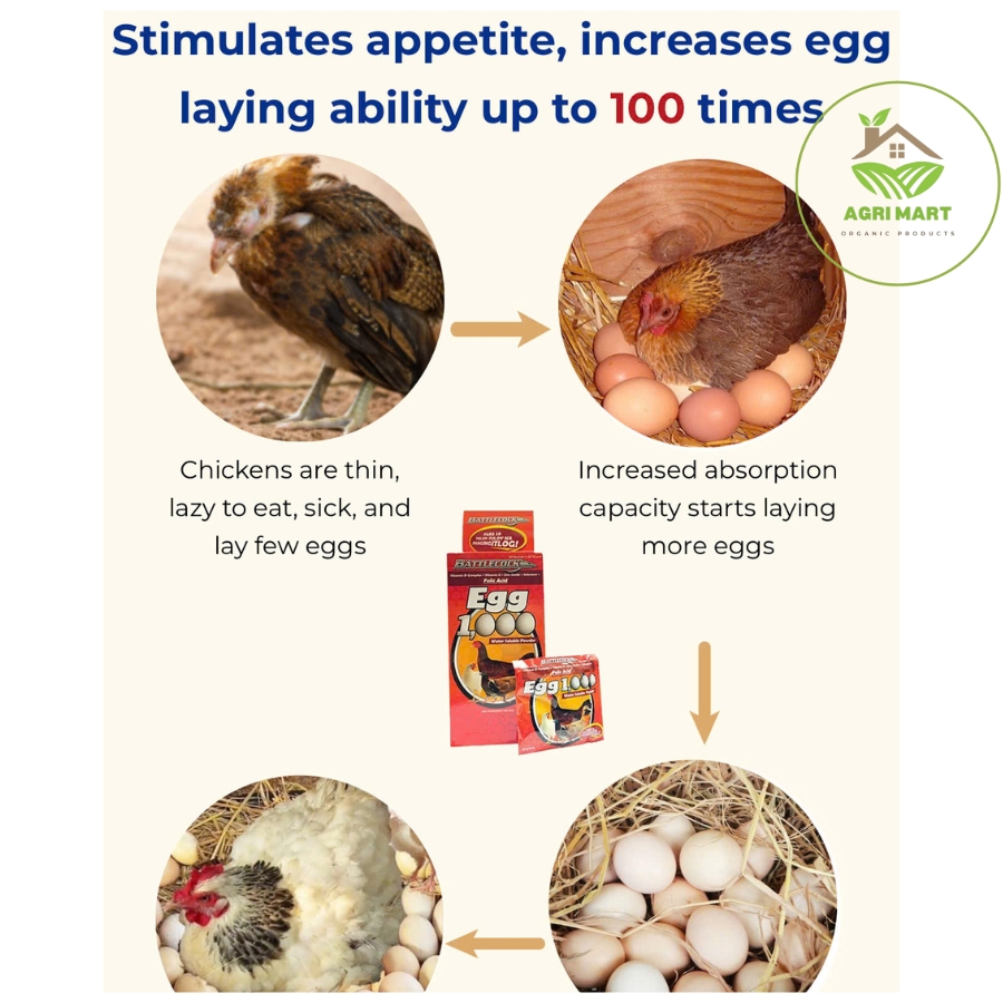 [1 Box of 20 Packs] EGG 1000 POWDER - Egg-Laying Stimulating Vitamins ...