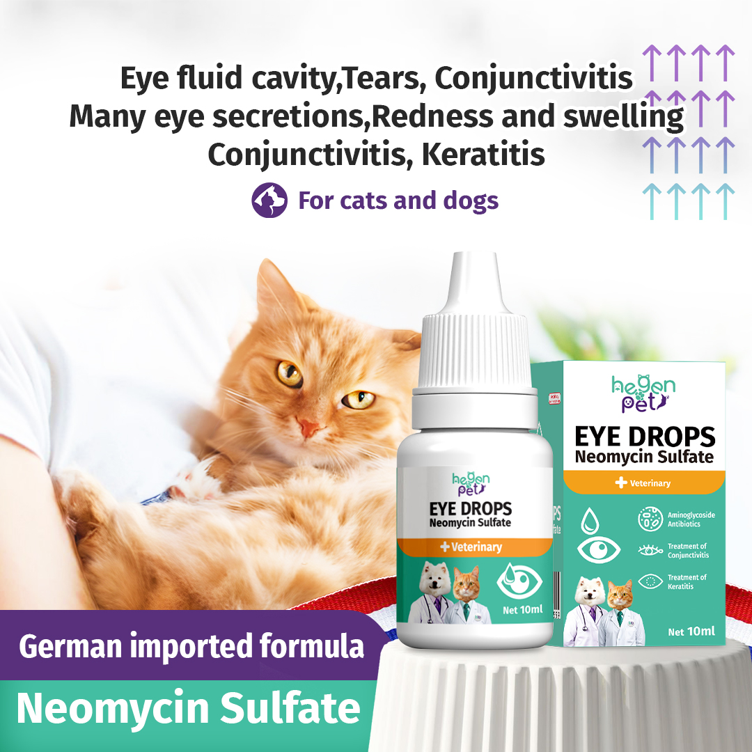 Hegen Pet Neomycin Sulfate Eye Drops For Infection Cloudy Eyes Tears ...