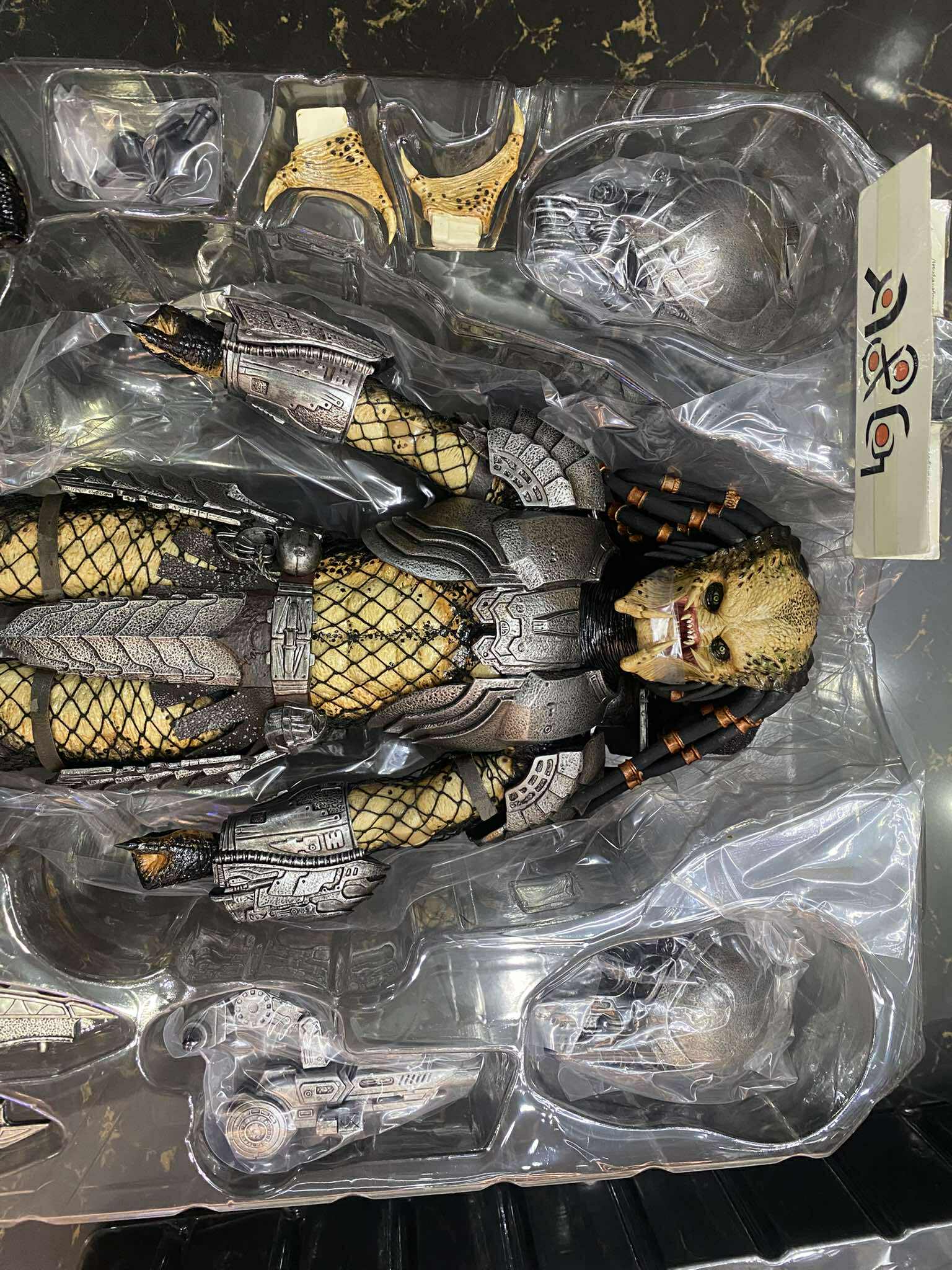 (R&G) Hot Toys Alien Vs Predator Celtic Predator 1/6 Scale Figure ...