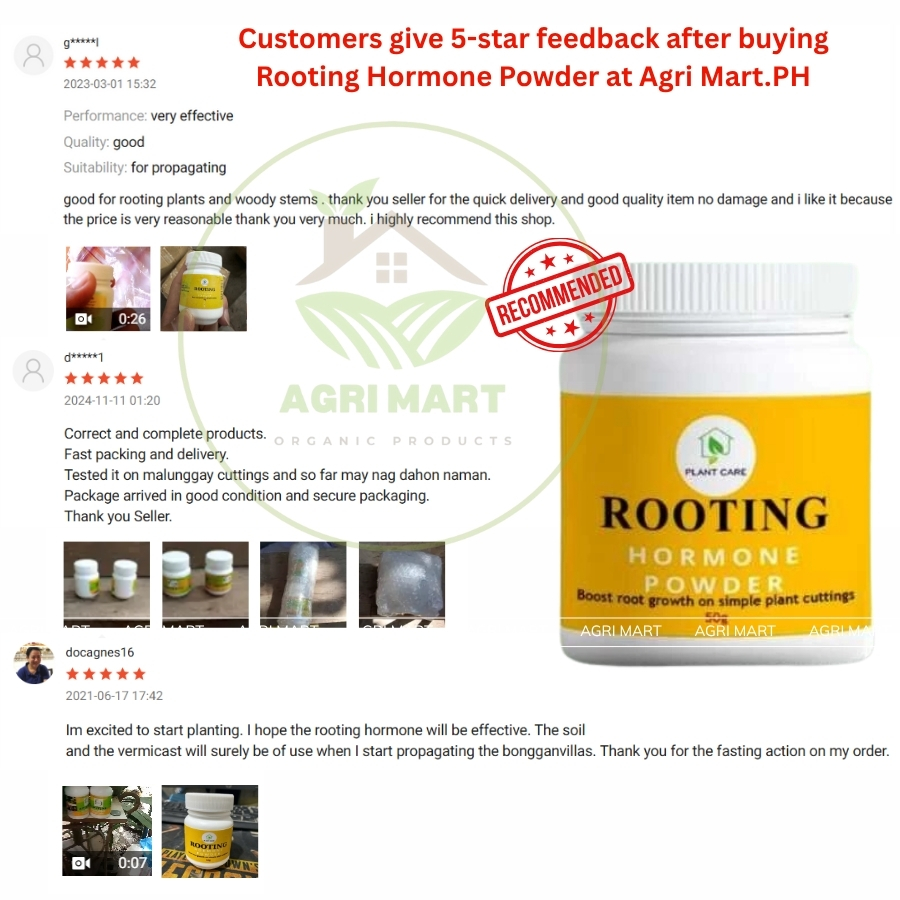 Rooting Hormone Powder 50G - Growth Hormone For Plants Organic ...