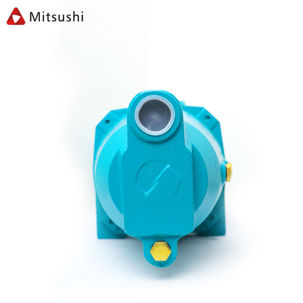 Mitsushi 450W Electric Water Pump Vortex Pump Booster Pump Jet Pump 1HP ...