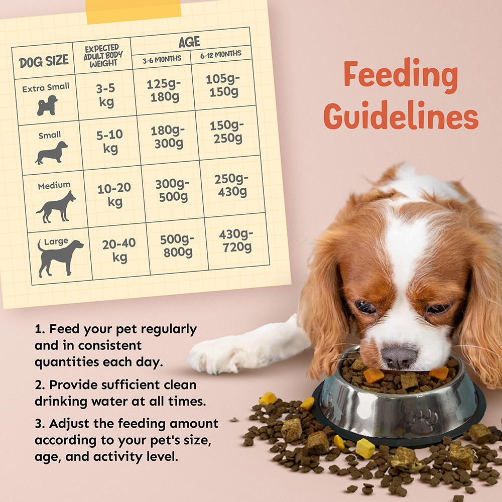Petsup Complete Nutrition Dry Dog Food 4kg with Freeze Dried Treats ...