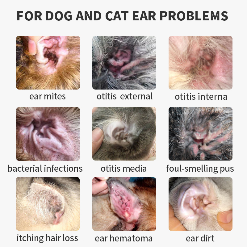 [Buy More Save More]PUAINTA Ear Drops for Dogs and Cats Infection ...