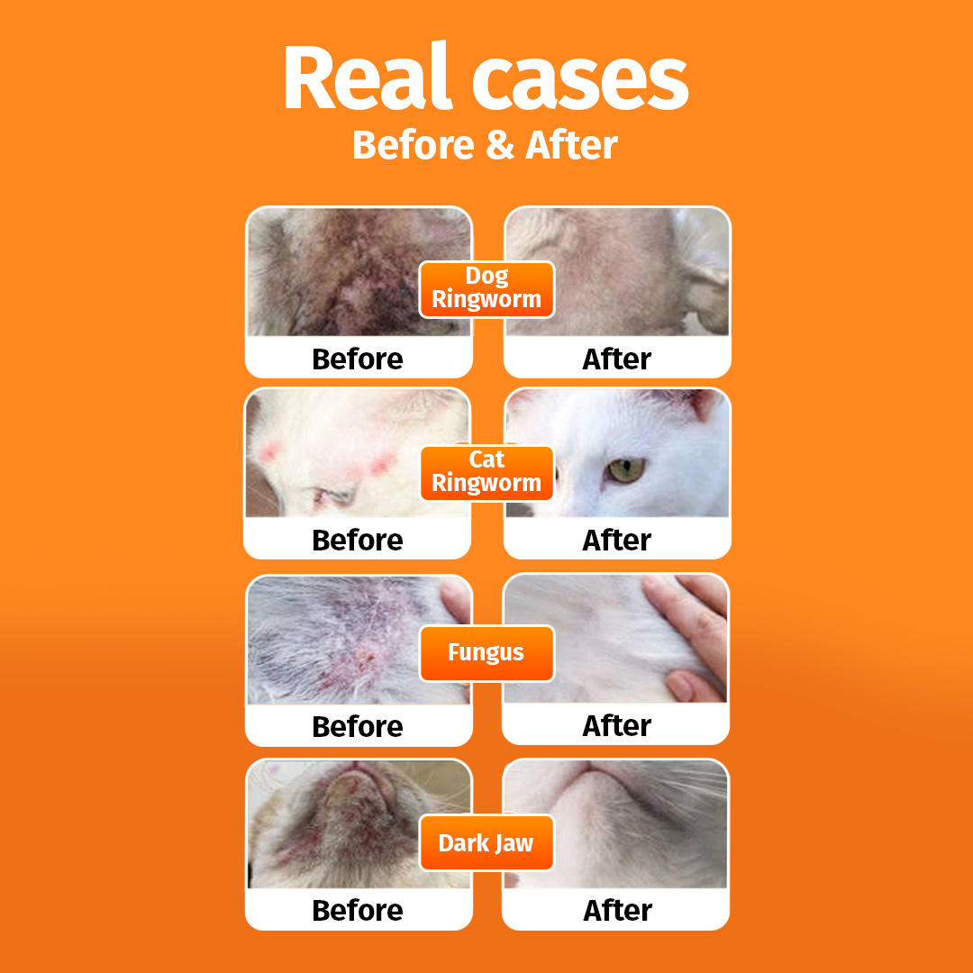 Cassiel Pet Antifungal Wound Spray For Itching,Ringworm,Mange,Anti Tick ...