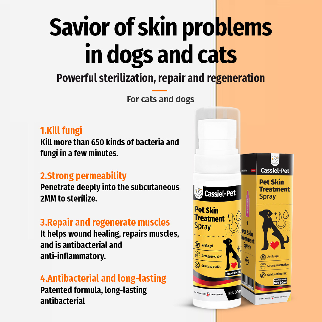 Cassiel Pet Antifungal Wound Spray For Itching,Ringworm,Mange,Anti Tick ...