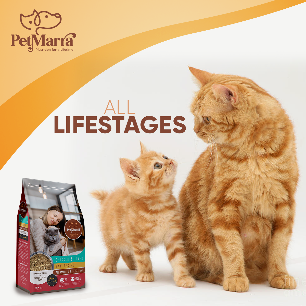 PetMarra Raw Coated Raw Recipe Adult Cat and Kitten Dry Food Beef ...