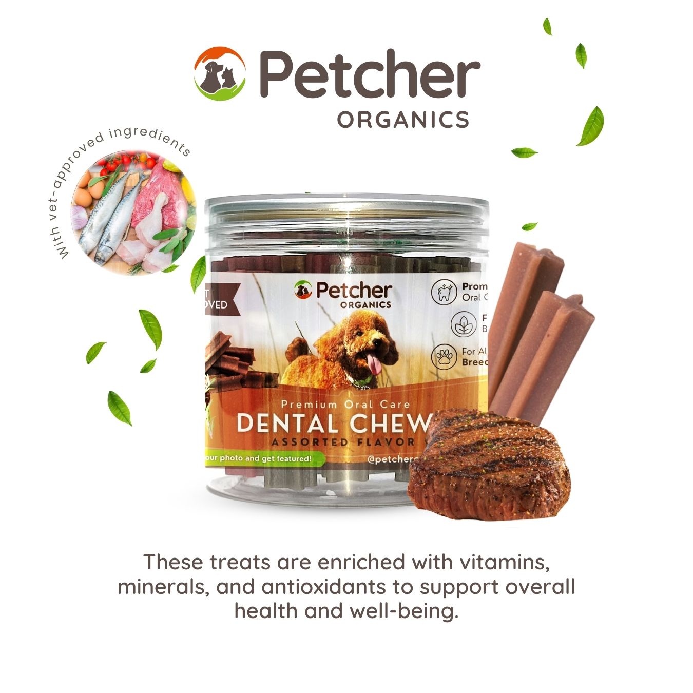 Petcher Assorted Flavor Dental Sticks in Jar Dental Care Treats and ...